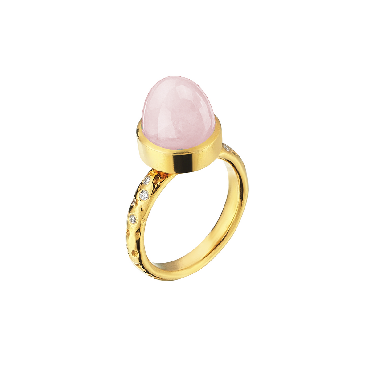 SHINY VENUS – Evren Kayar